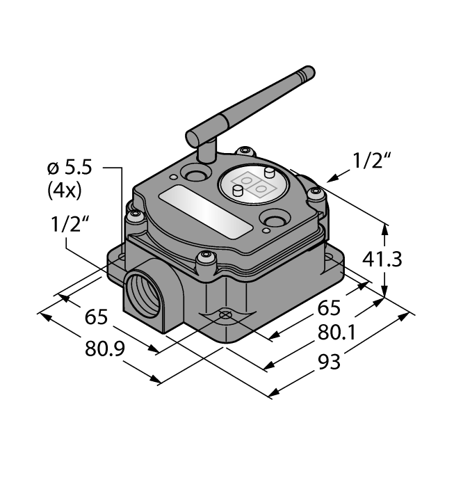무선 전송 시스템 - 포인트-투-포인트